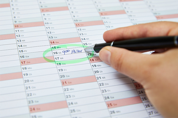 Wunschtermin - TTF-Markt Rietberg und Bad Arolsen Mengeringhausen